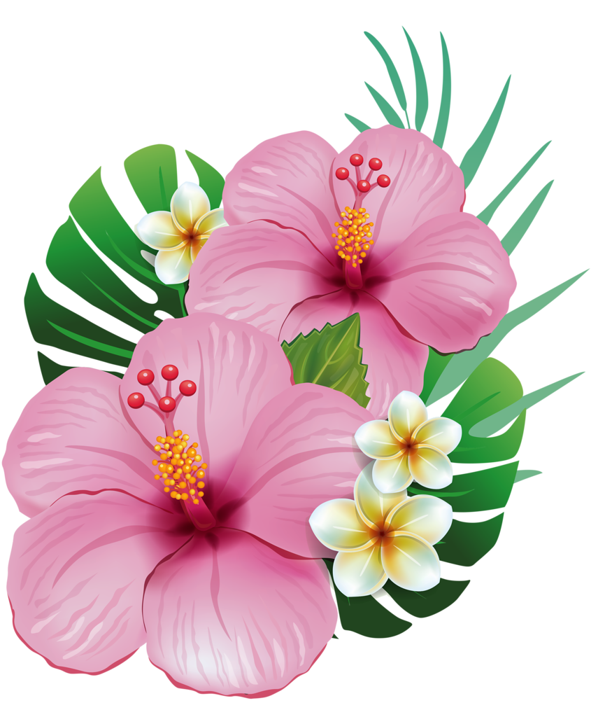 ورد بمبى للتصميم - موقع بيت العز